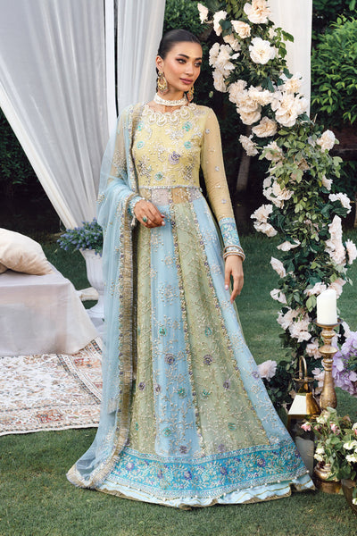 Rang Rasiya Samara Online Shopping – Original Brand