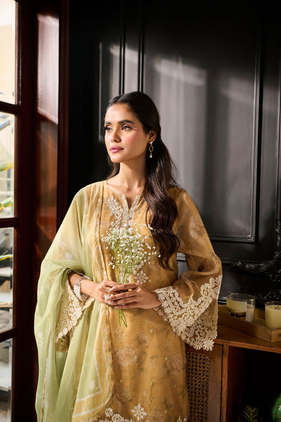 Dhanak SS24DD-1144 Mustard Dupatta Online Shopping – Original Brand
