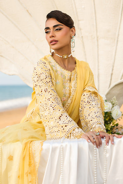 SL-110 Seyra Imrozia Premium Brand Original Fabrics – Original Brand