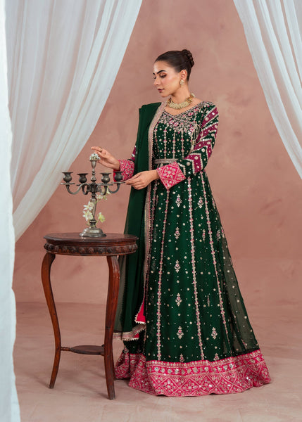 Haseens Official Aniza Online Shopping – Original Brand